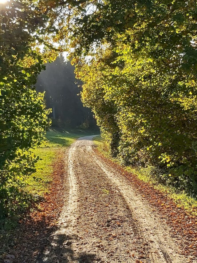 Up the Mountain Path with God‭‭ - Matthew‬ ‭7‬:‭13‬-‭14‬ - TruthBursts.com